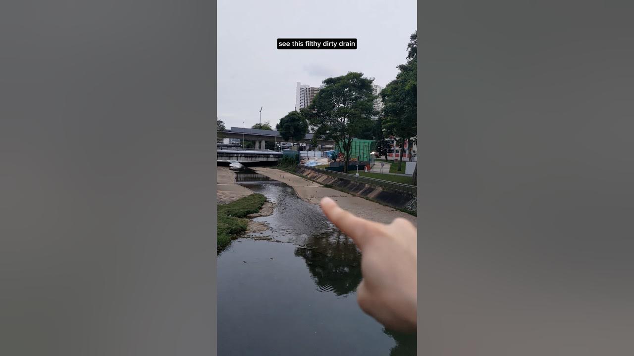 bishan park in Singapore is an example of how landscaping can transform how things can feel ...