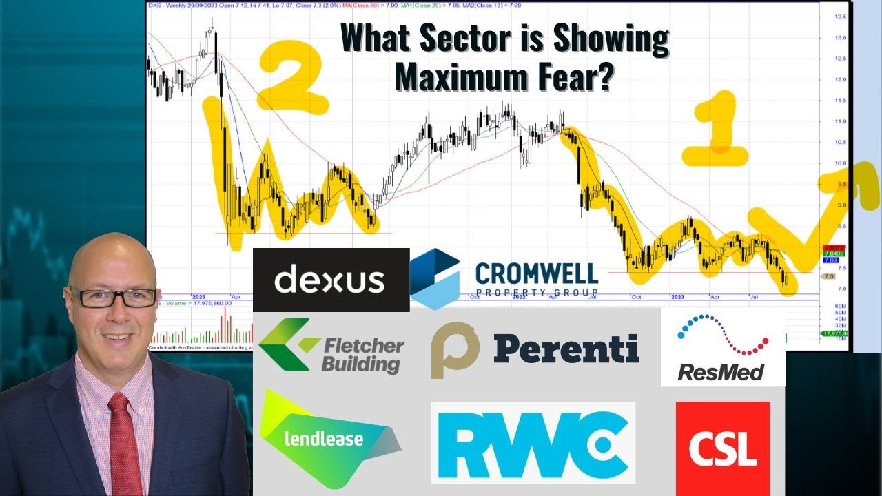 Have these Wyckoff Charts Reached Maximum Fear? | DXS CSL CMW RWC LLC ...