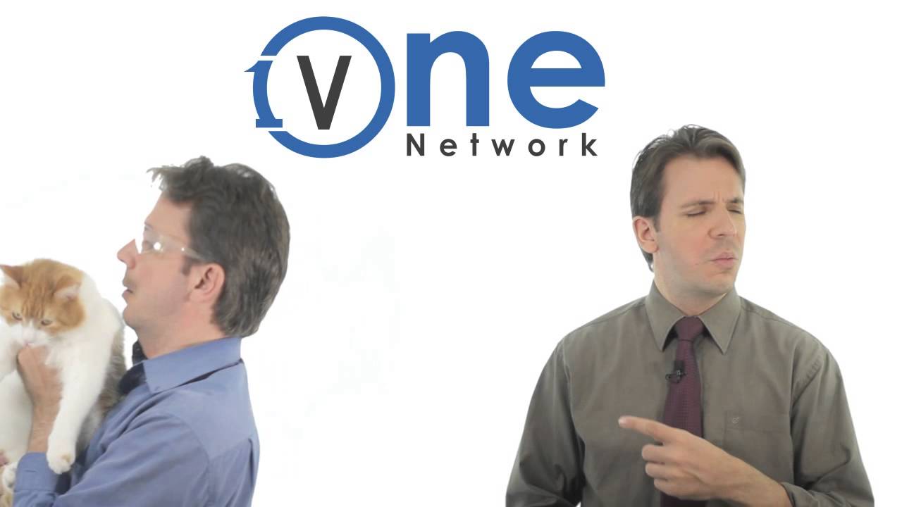 1v1 Network - Website Design, Development and Hosting 613.501.2728 or 1 ...