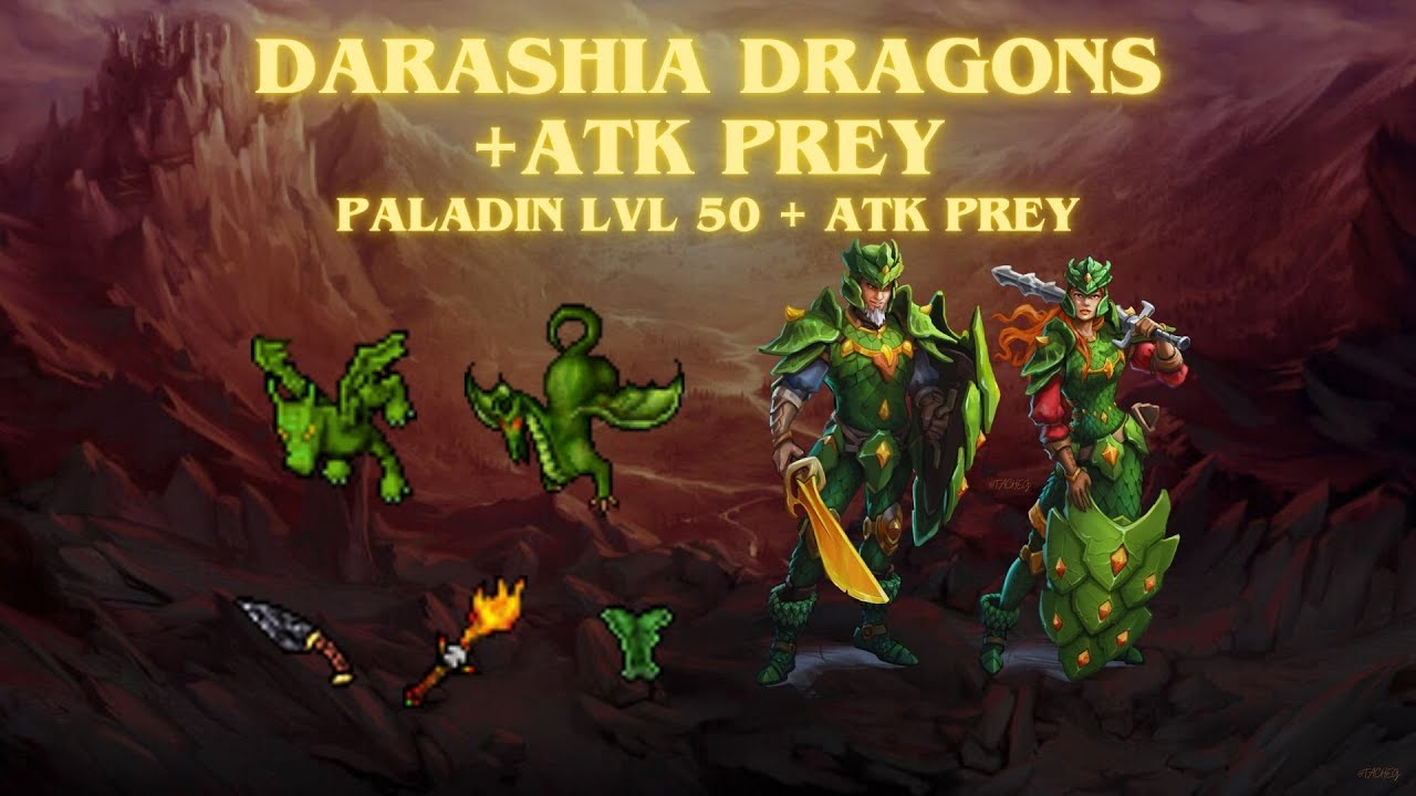 Tibia Paladin Darashia Dragons ATK Prey | 2025 lvl 50+ 220+k RAW #08 ...