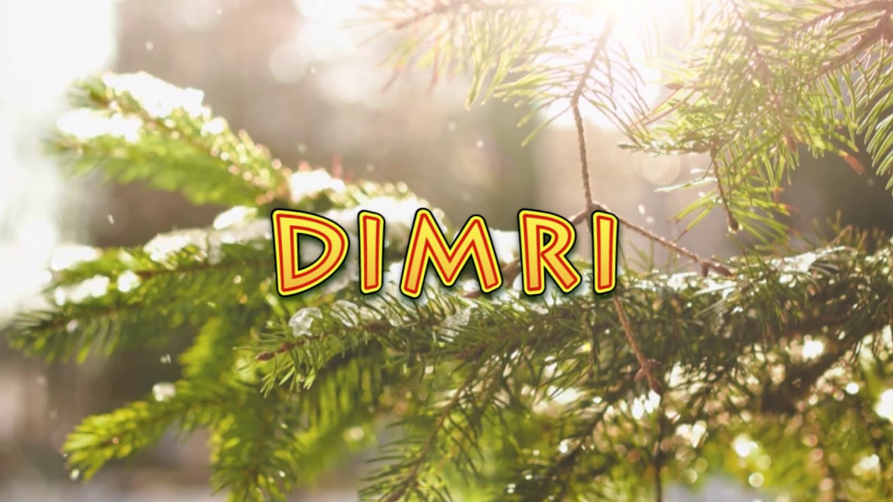 Stinët e vitit: Pranvera, Vera, Vjeshta, Dimri | Seasons of the Year ...