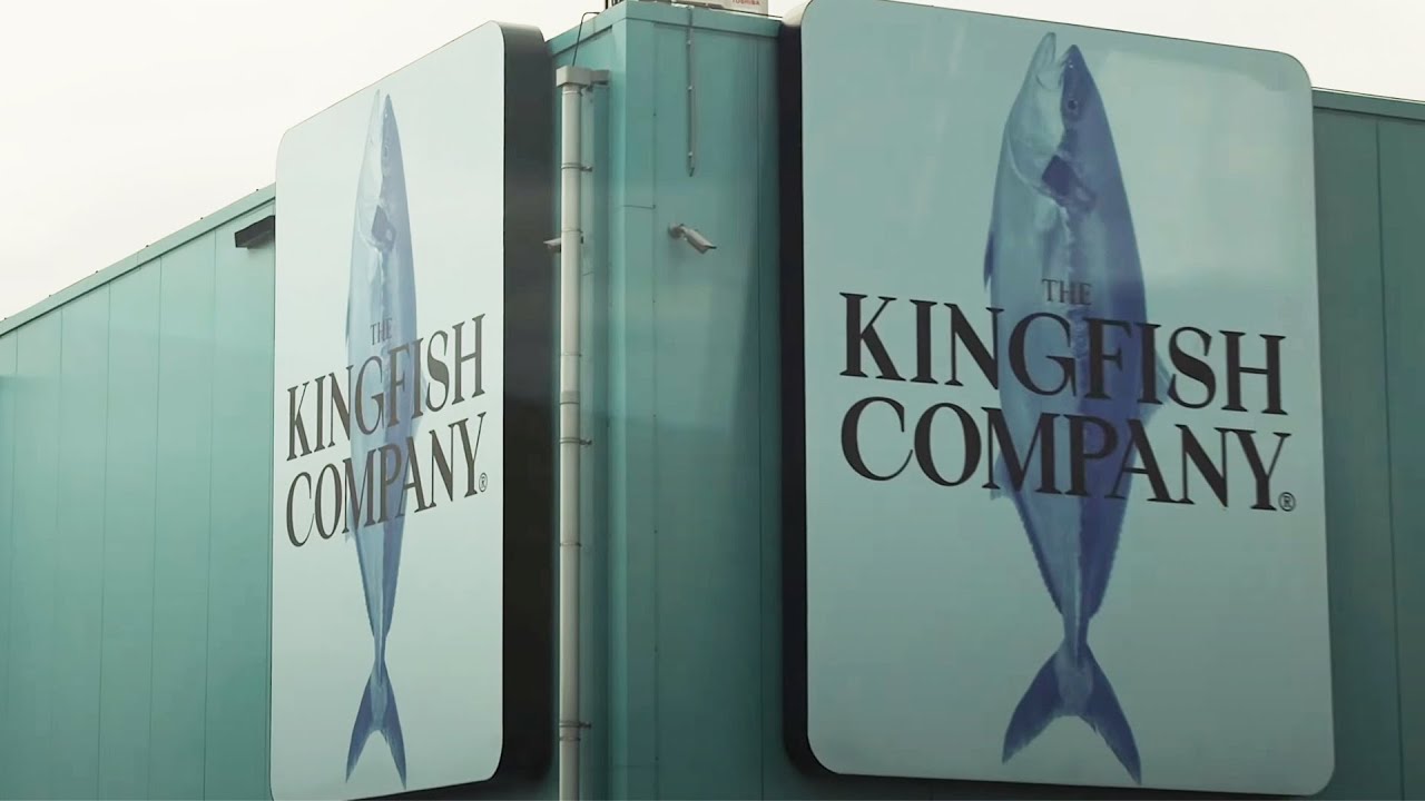 Reach Food Group x The Kingfish Company Farm Visit September 2024 - YouTube