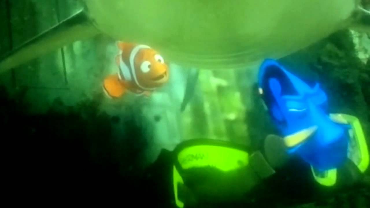 Procurando nemo - YouTube