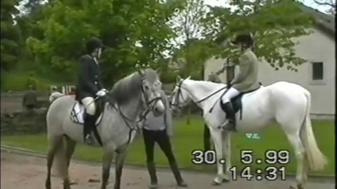 Showjumping Easterton Stables 30th May 1999 - YouTube