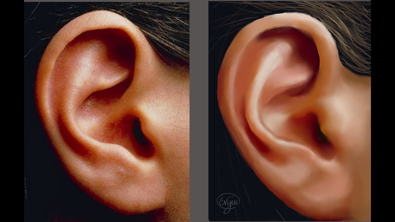 How to paint a realistic ear | Digital Speed Painting | Photoshop - YouTube