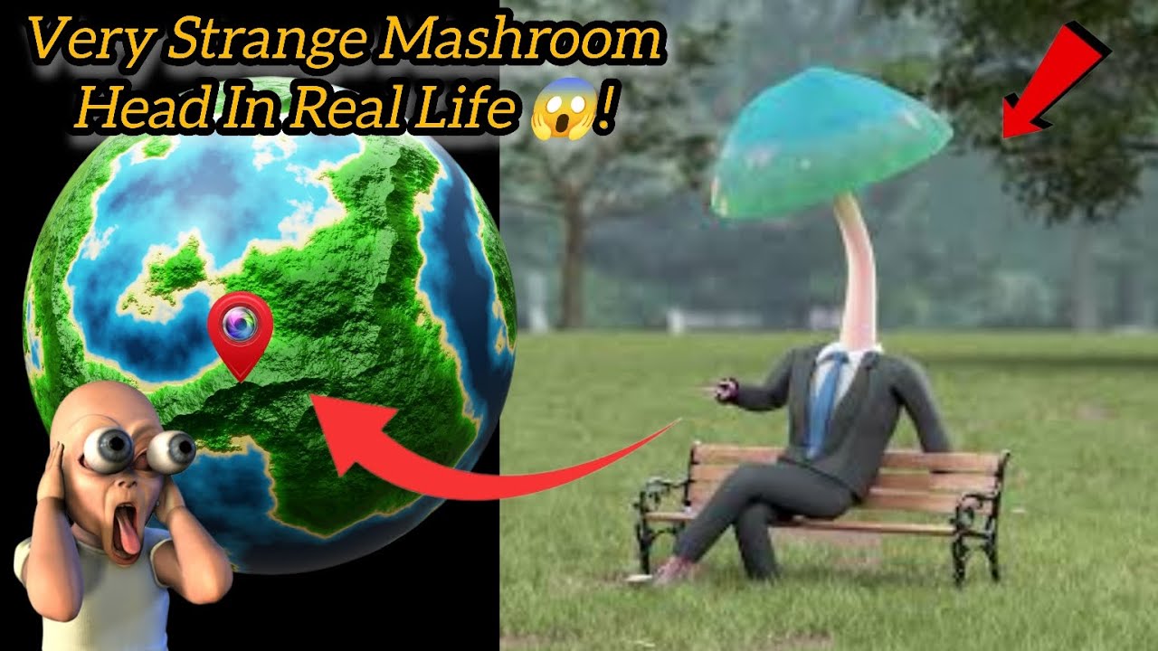 Very Strange Mashroom Head In Real Life on Google Earth 😱! - YouTube