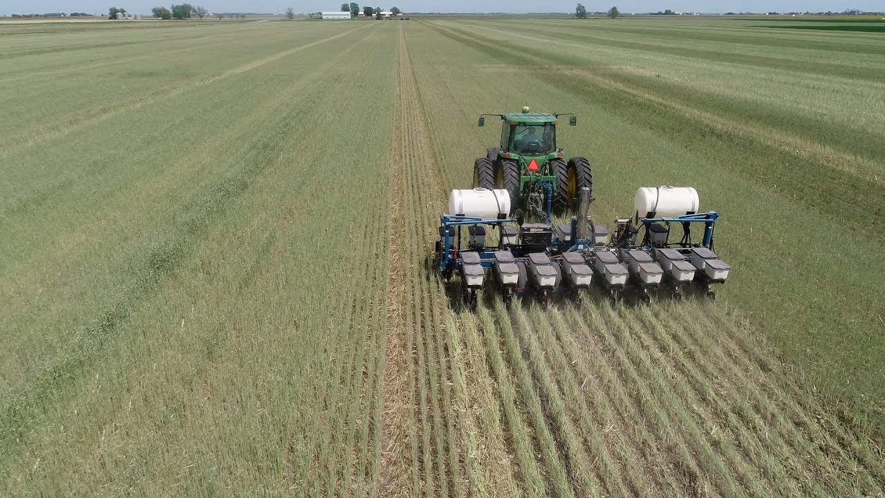 Benefits of Reduced Tillage & Cereal Rye in a Diverse Crop Rotation ...