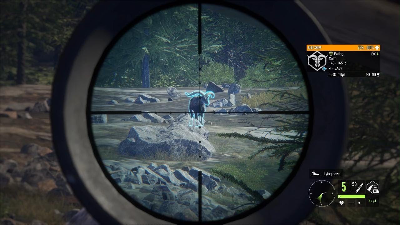 (Diamond Blue Sheep!) theHunter: Call of the Wild - YouTube