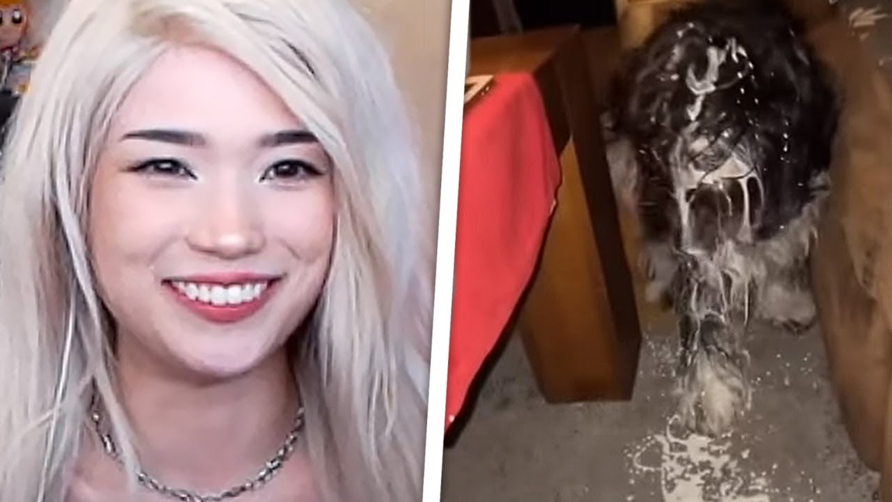 Emiru Reacts to Unusual Memes that will TURN YOU INTO A DOG! (woof woof ...