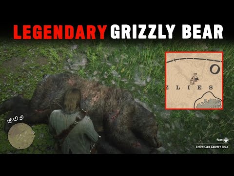 How to hunt legendary Grizzly Bear in red dead redemption 2 with ...