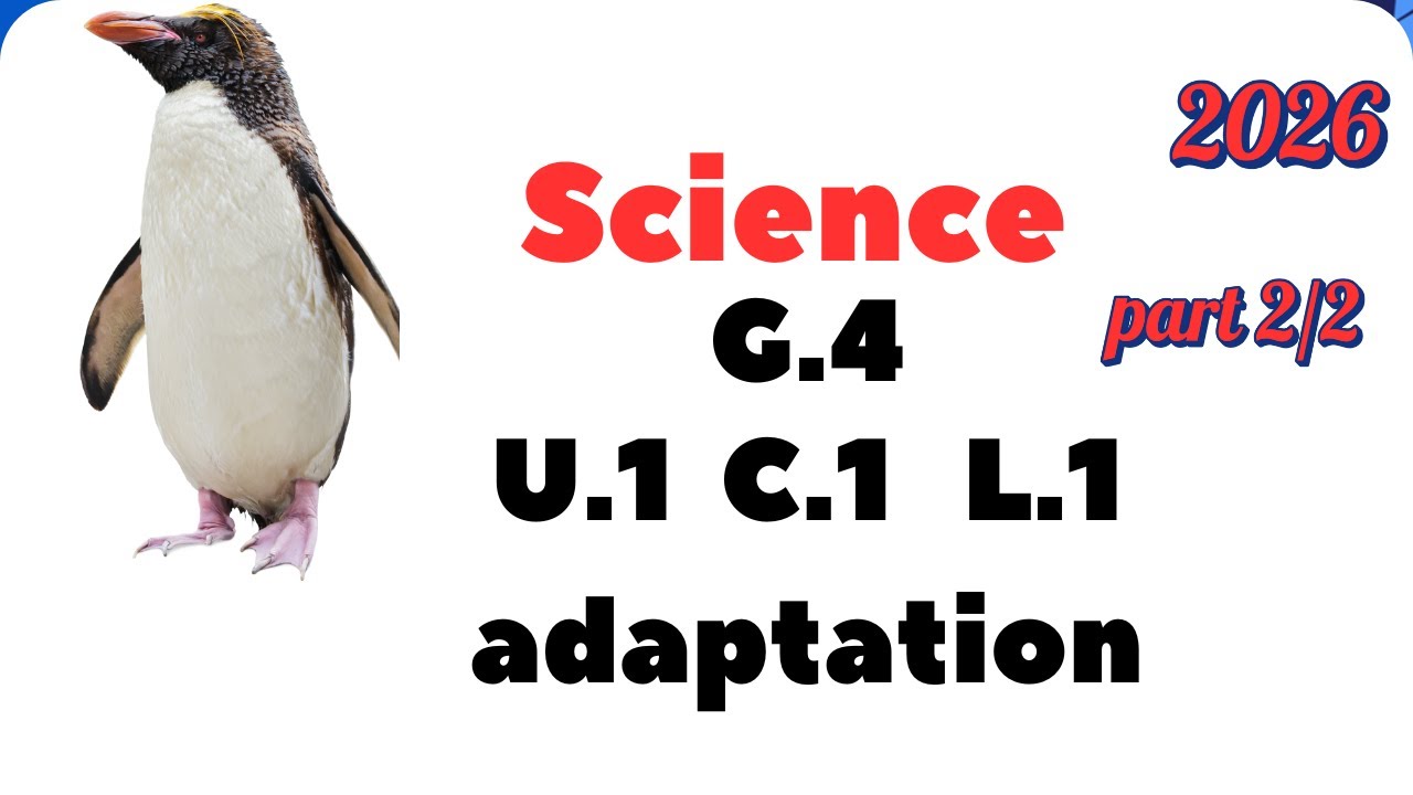 4th Grade Science: Adaptation for Survival! (Unit 1, Concept 1, Lesson ...
