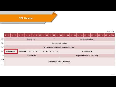 29 TCP Header - YouTube