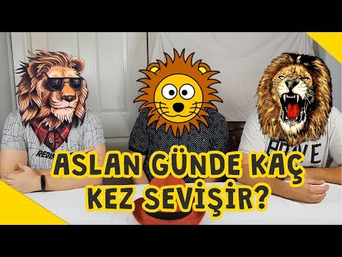 ASLAN GÜNDE KAÇ KEZ SEVİŞİR? | BİLDİM Mİ DERSİN? | BÖLÜM 1