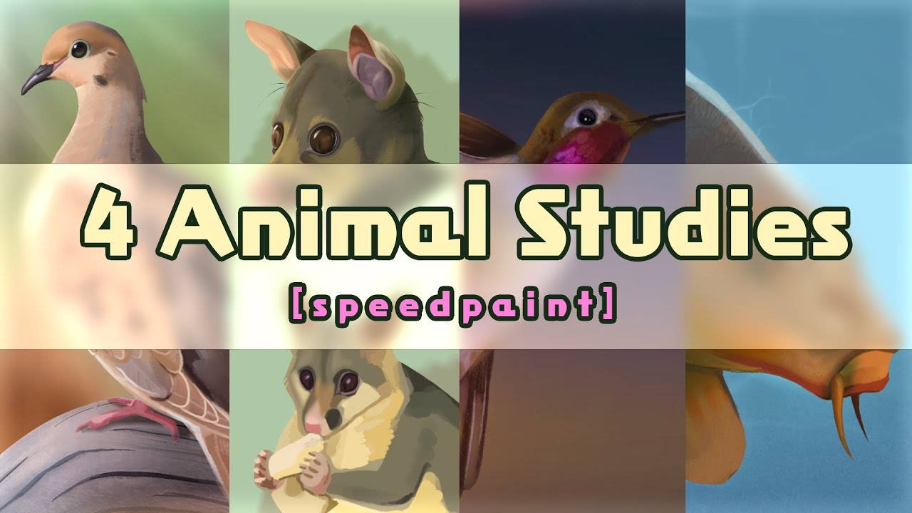 4 Animal Studies - [SPEEDPAINT] - YouTube