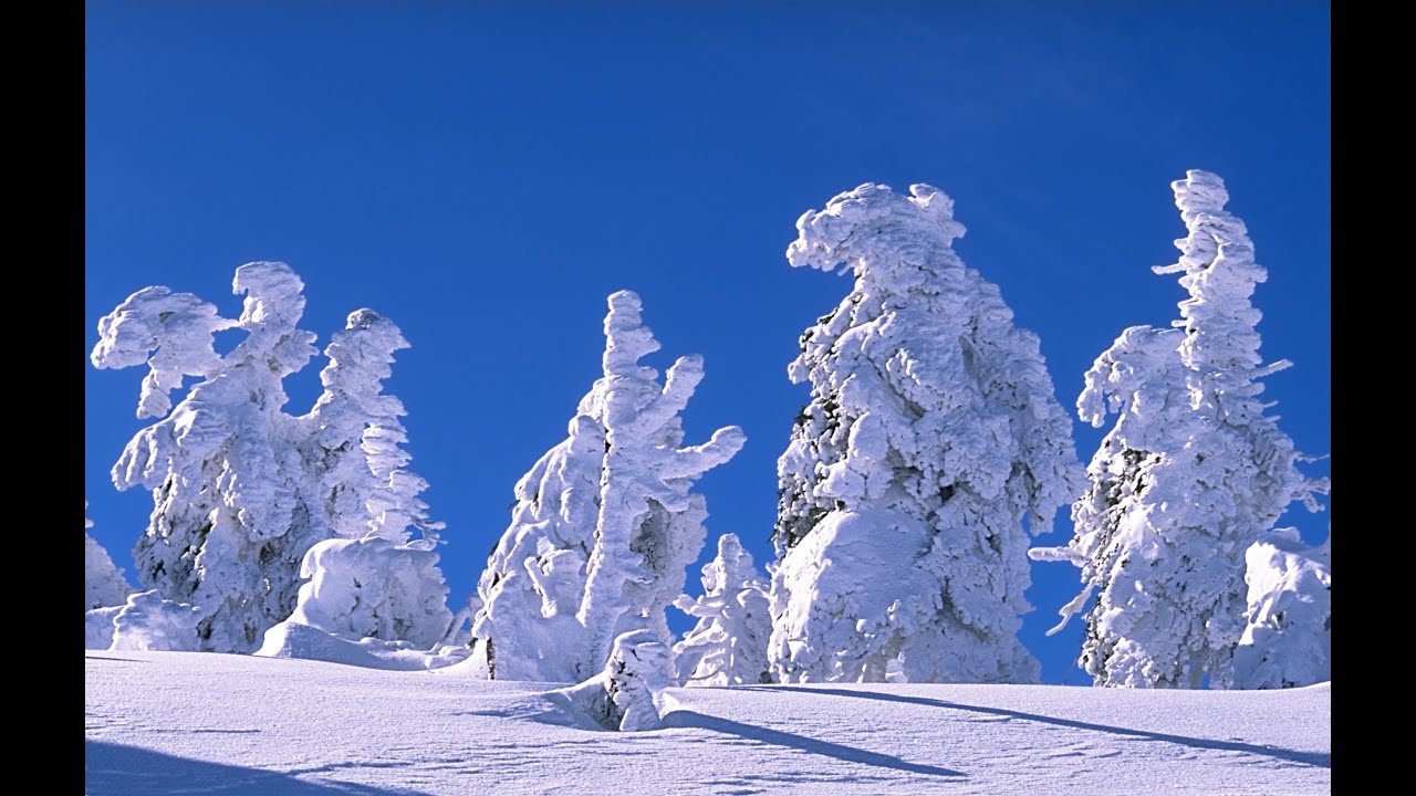 God Is Our Sole Reliance (Tenor) - YouTube