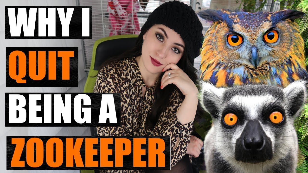 I QUIT! Why I Quit My Job As A ZooKeeper | EMZOTIC - YouTube