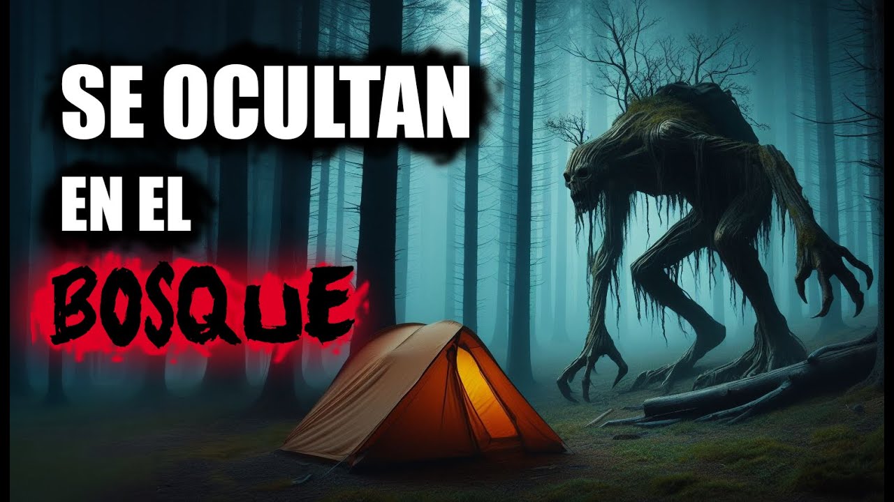 Noche En El Bosque - Relato de Terror - Basada en hechos reales. - YouTube
