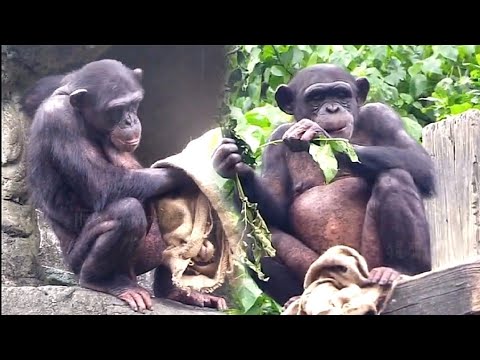 Nihui is Growing Up—Now a Teenager with a Passion for Fashion!妮慧漸漸長大，如今 ...