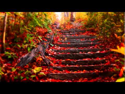 Vivaldi: The Four Seasons - Autumn mvt 3 Allegro - YouTube