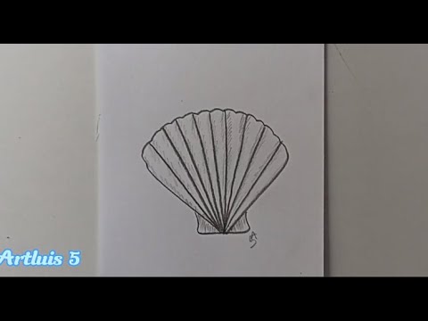 Cómo dibujar una concha de ABANICO | How to draw a shell