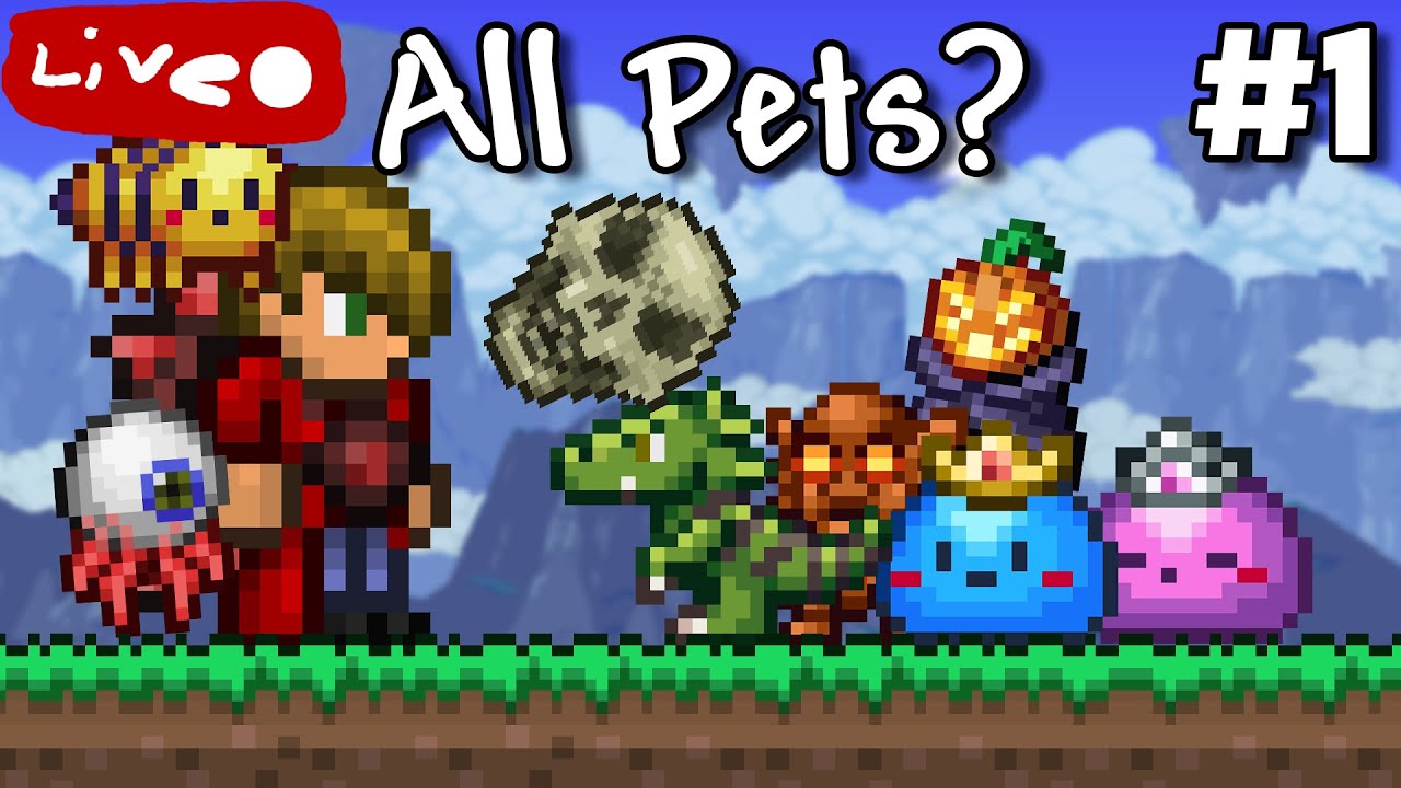 Getting All Pets in Terraria (1) [LIVE] - YouTube