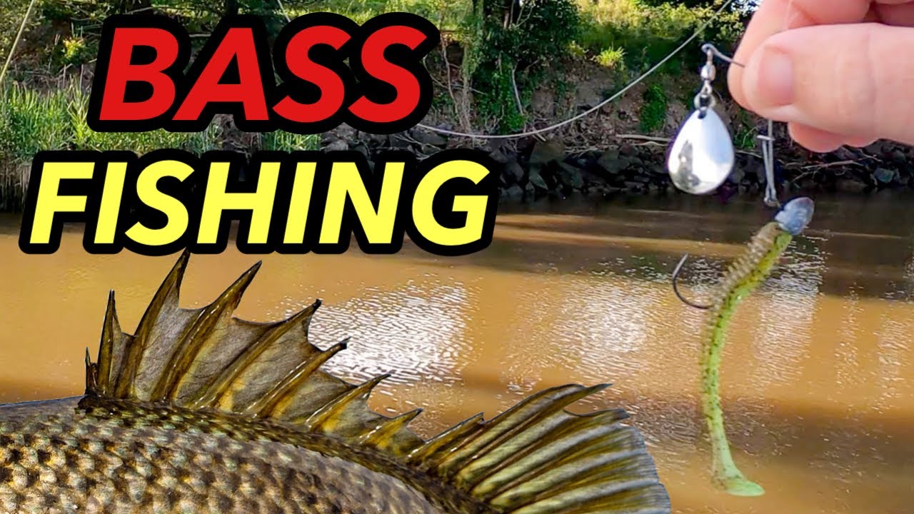 FISHING for AUSTRALIAN native fish in dirty RIVER water - YouTube