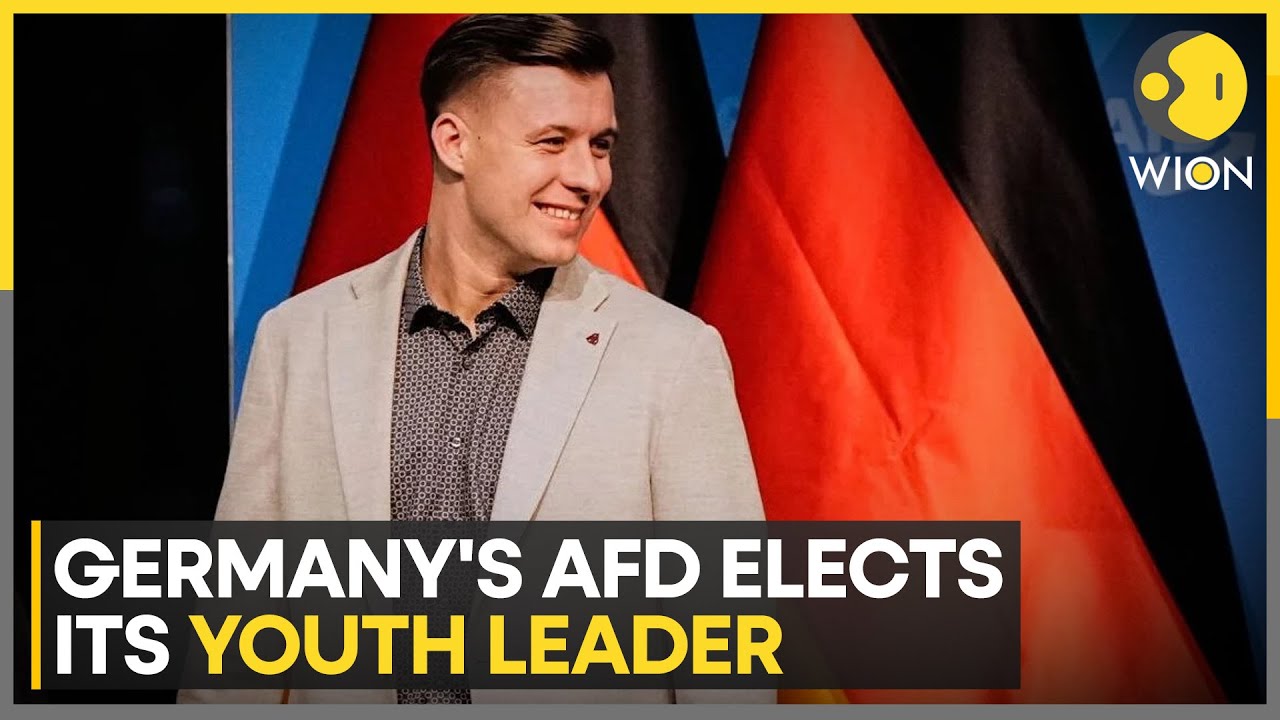 Germany: 28-Year Old Jean-Pascal Hohm to Lead AfD's Youth Wing | WION ...