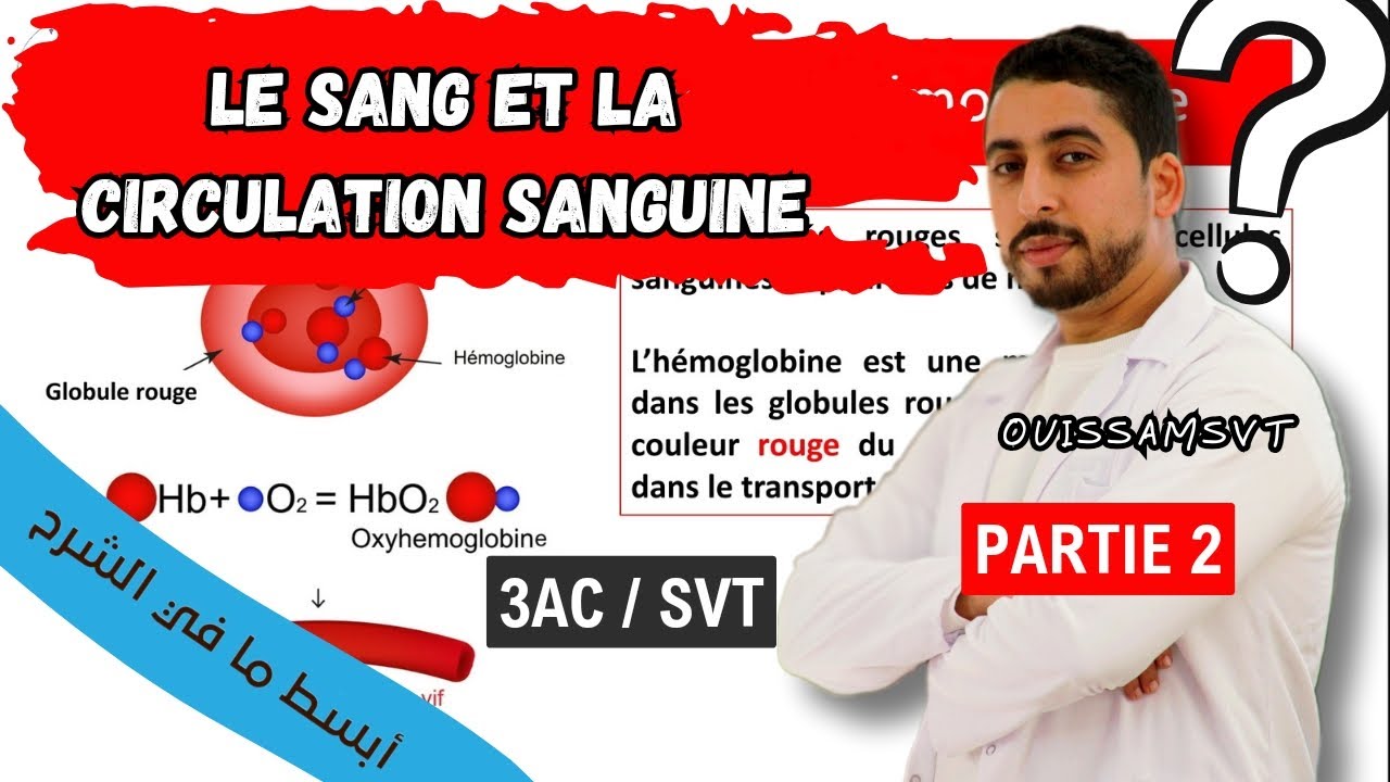 3AC : Le sang et la circulation sanguine | Partie 2 💥🔥 أبسط مافي الشرح ...