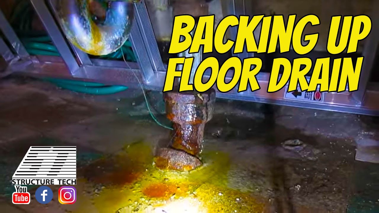 Backing up floor drain - YouTube