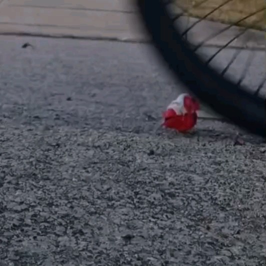 RIP Santa claus 2023-2024 - YouTube