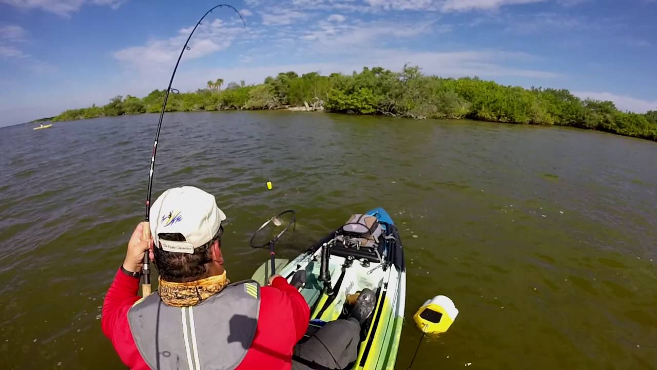 Mosquito lagoon 24 inch snook - YouTube