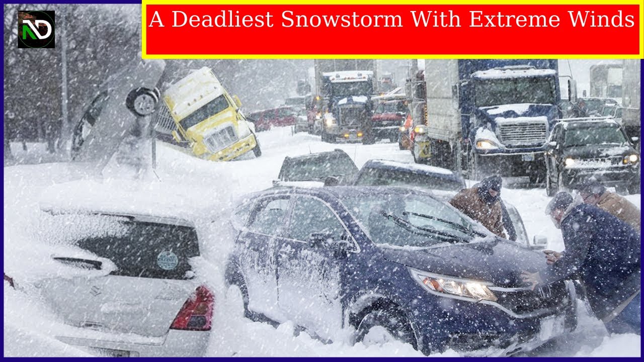 A Deadliest Snowstorm With Extreme Winds Destroyed The Life System I ...