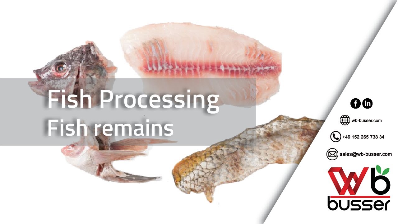 Fish remains processing - Reduce your production waste! WB Food Tec ...
