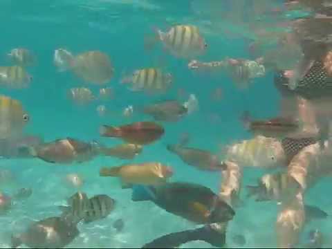 Coki Beach St Thomas, USVI - YouTube