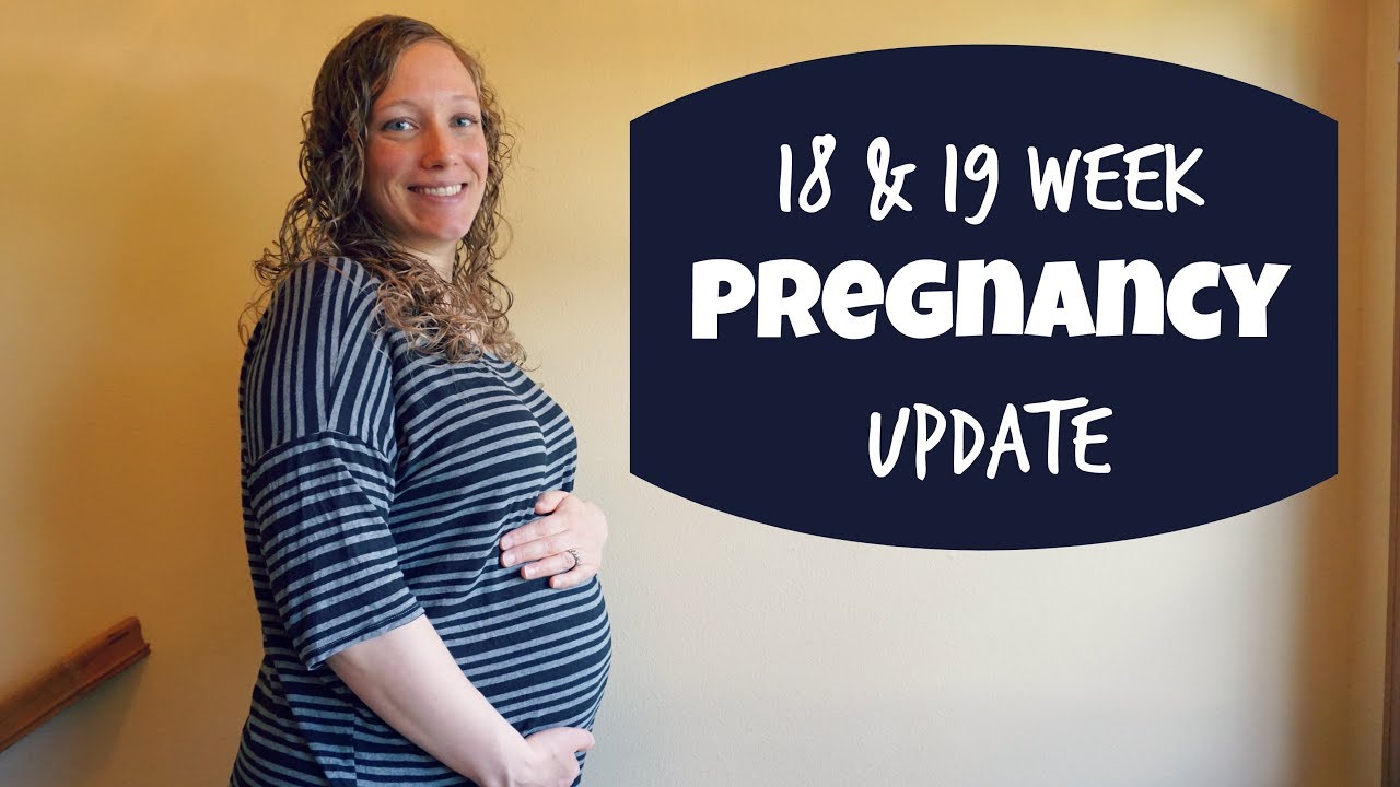 18 & 19 Week Pregnancy Update + Belly Shot | ANATOMY SCAN! - YouTube