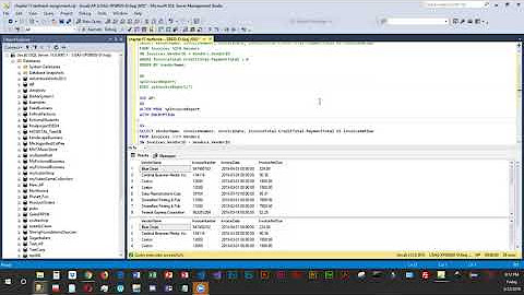 SQL Server Chapter 15 - Stored Procedures, User-Defined Functions and ...