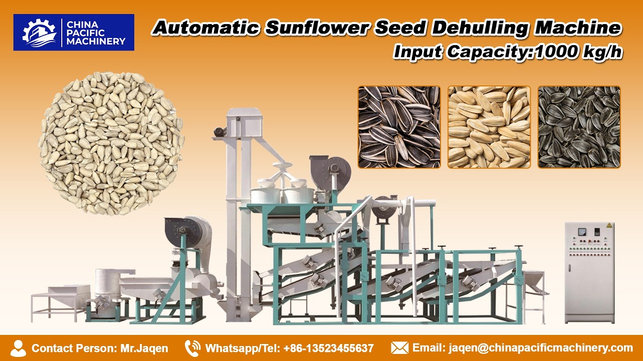 Sunflower Seed Dehulling Machine|Sunflower Seed Dehusking Machine ...
