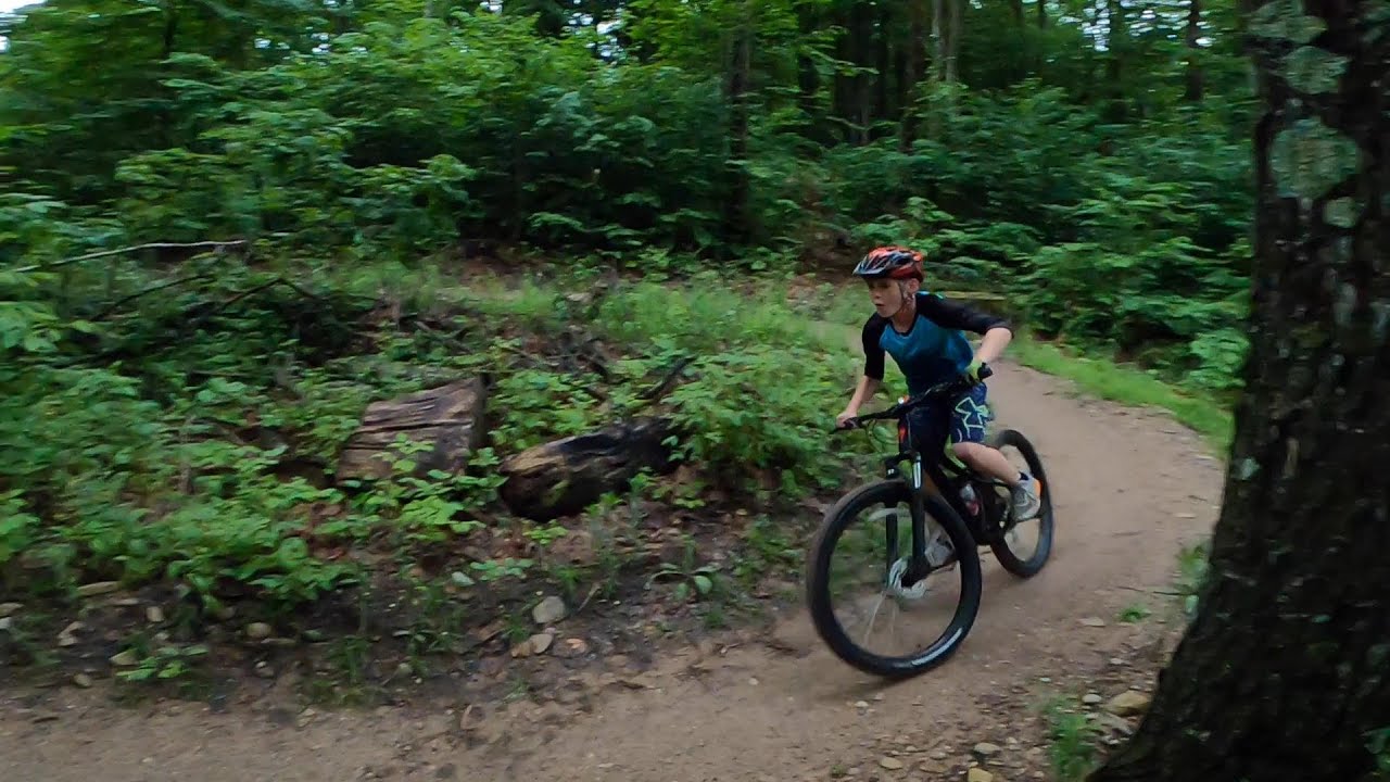Mountain biking the Tanton Working Forest Reserve near Petoskey ...