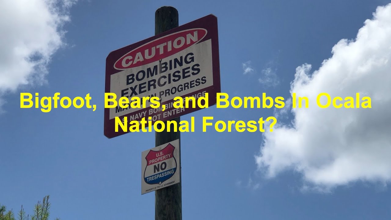 Bigfoot, Bears, and Bombs In Ocala National Forest? - YouTube