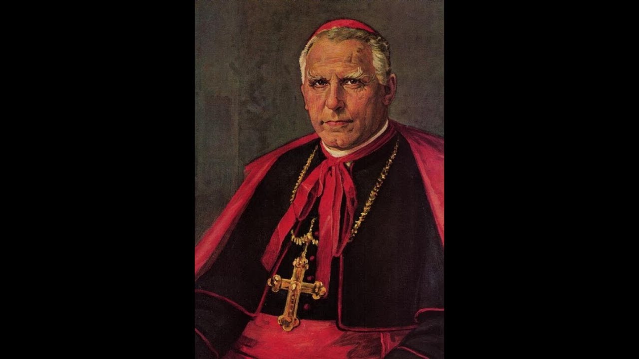 Le bienheureux Cardinal Clemens August von Galen, le lion qui s’opposa ...