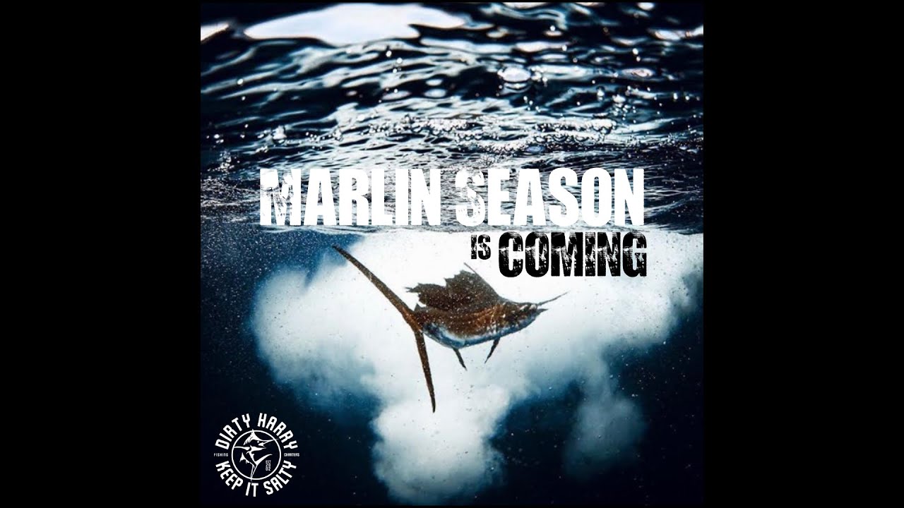 Marlin Season is just around the corner - YouTube
