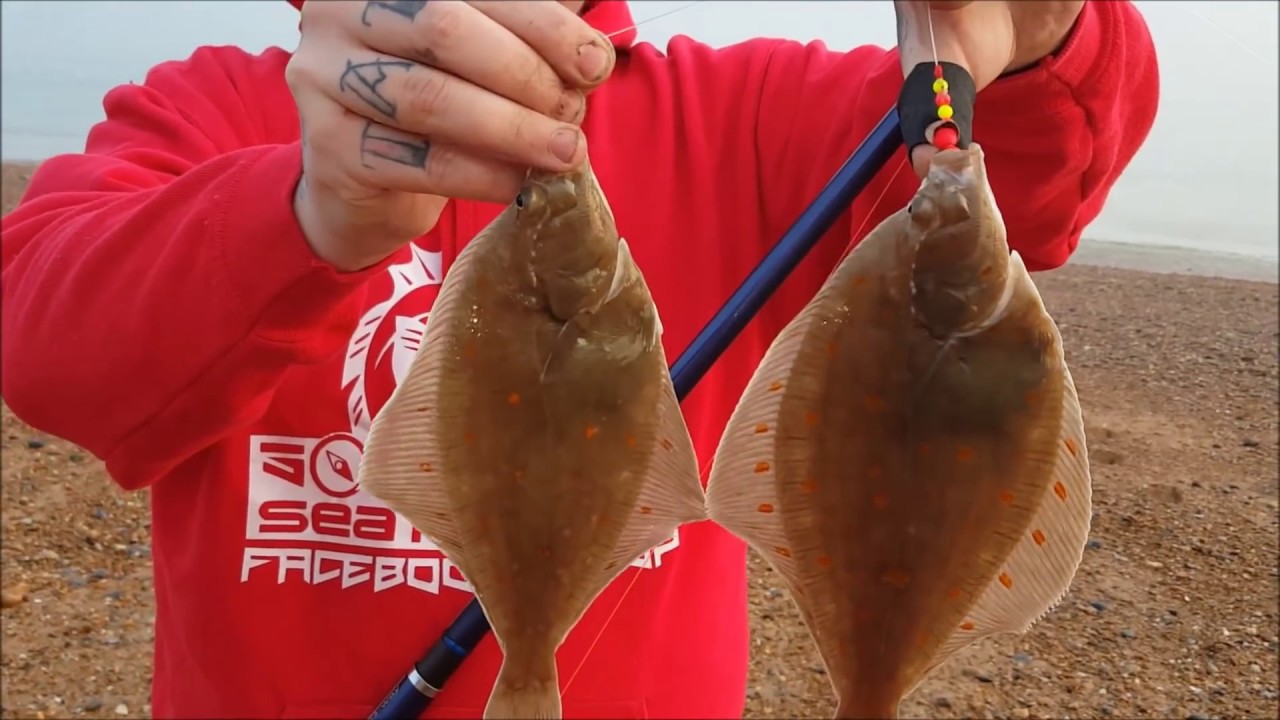 Fishing for plaice from the shore in Hastings Kent - YouTube