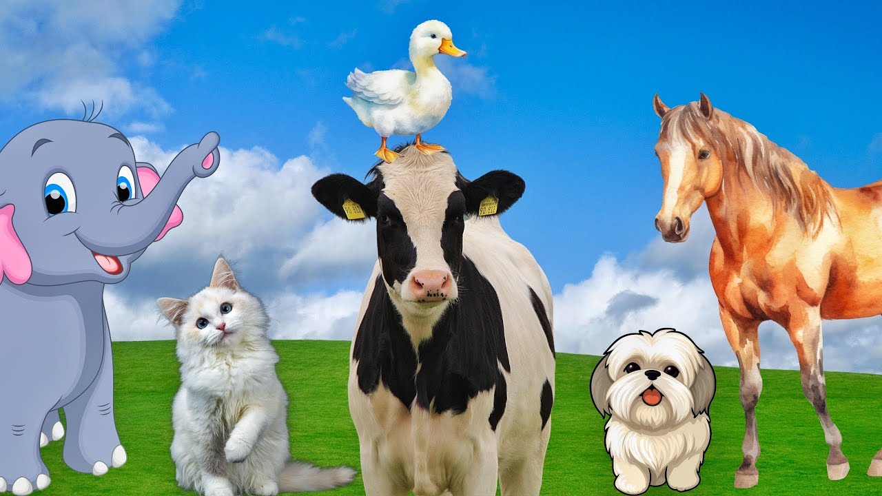 Amazing Sound of familiar animals: elephant,cow, horse, duck, parrot ...