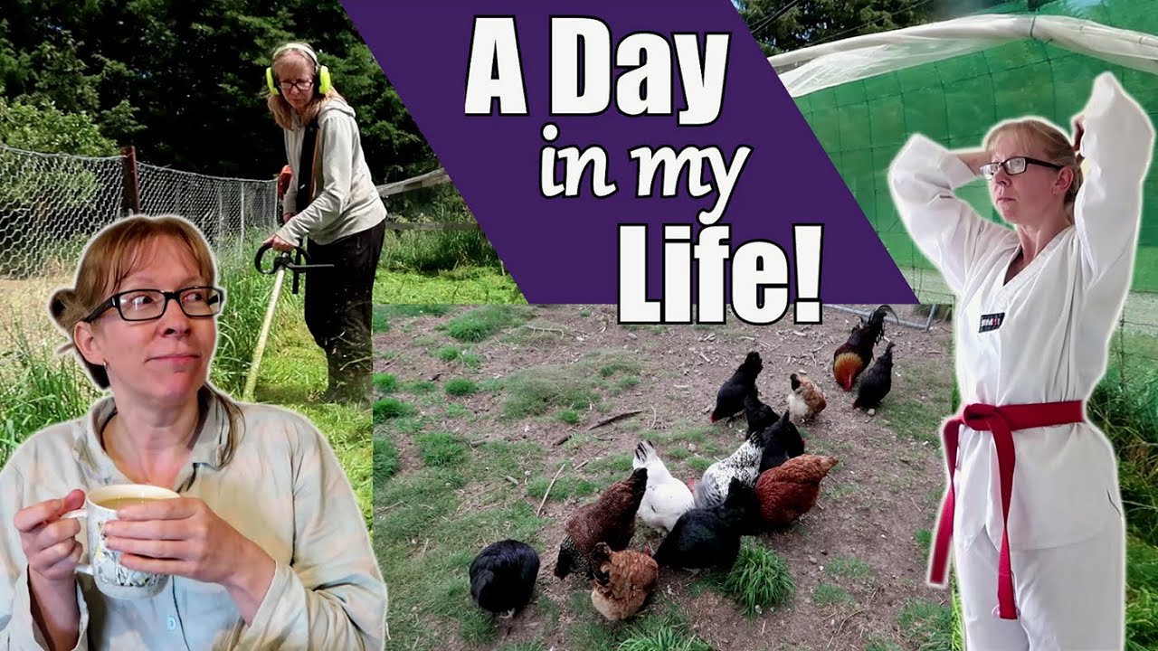 A Day in my Life / What my Average Day Looks like ... - YouTube