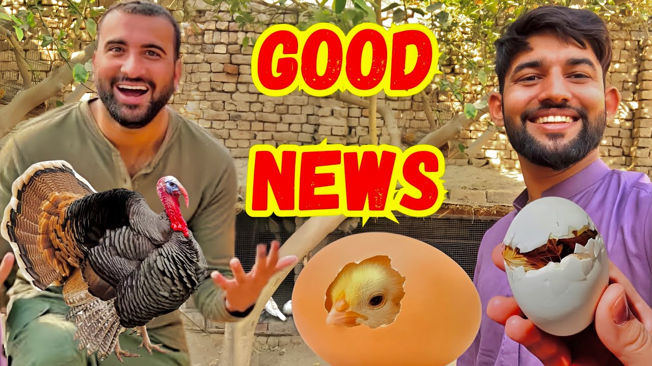Sara ando ma bacha bn raha ha good news mil gye 🤩🤩 - YouTube