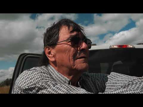 The Wandering Metis | Bison on the Menu A Journey from Prairie to Plate ...
