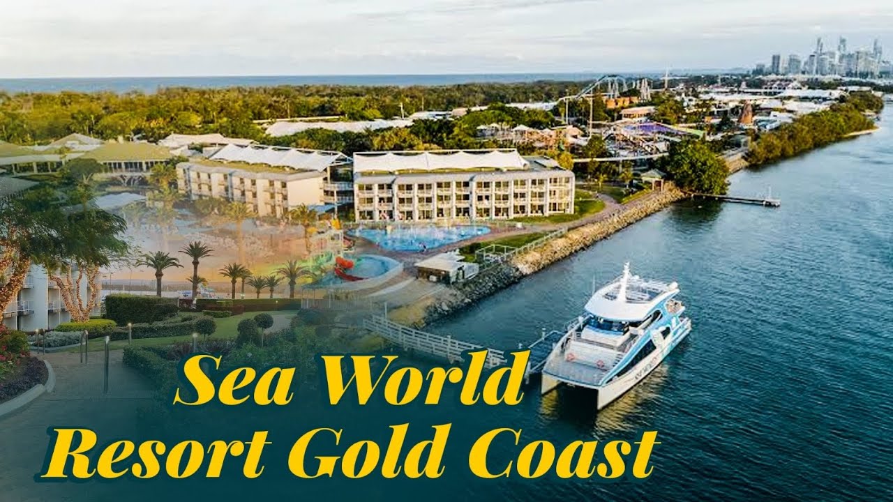 Sea world Resort | Gold Coast | Australia - YouTube