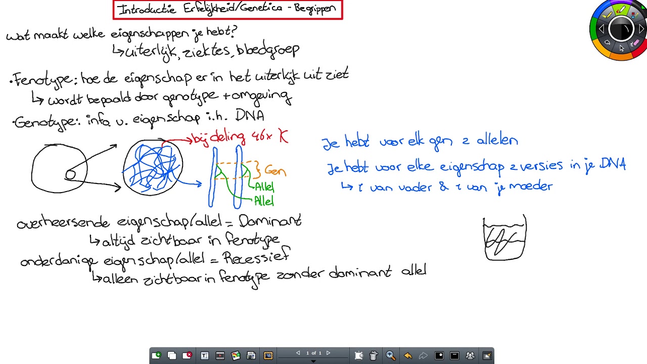 Klas 4 - Basis en begrippen voor Genetica/ Erfelijkheid - YouTube