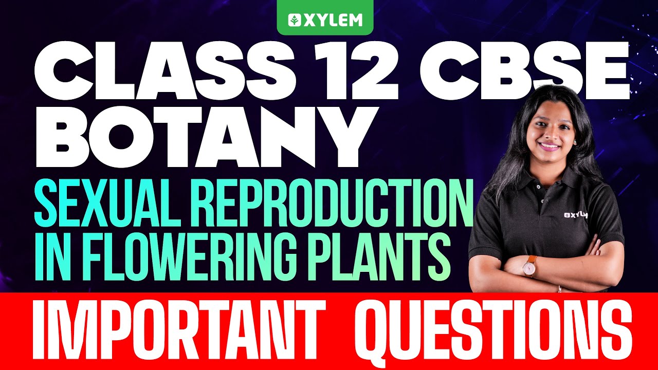 Class 12 CBSE Botany | Sexual Reproduction In Flowering Plants ...