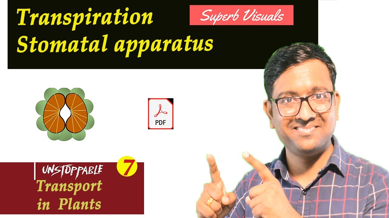 Transpiration and Stomatal Apparatus I Transport In Plants I Dr Kunal ...